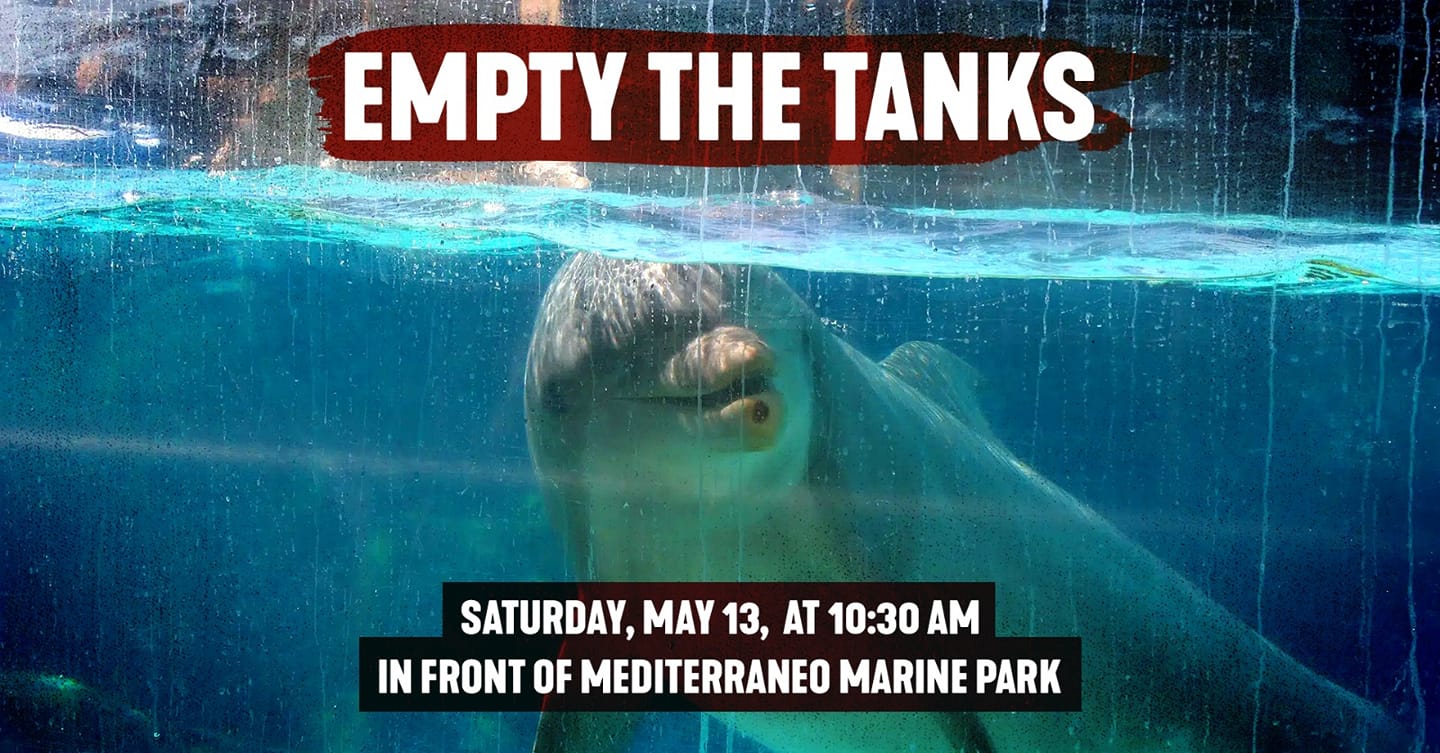 Empty the tanks - Active Citizen Lab